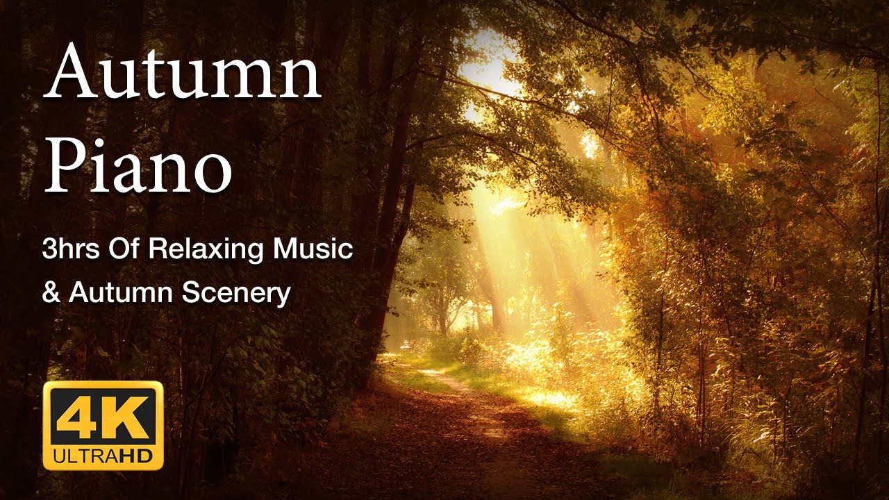 Stunning 4K Autumn Scenery & Relaxing Music For Sleep, Meditation ...