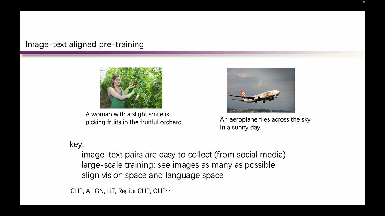 [CVPR 2023]Detecting Everything in the Open World:Towards Universal Object Detection - YouTube