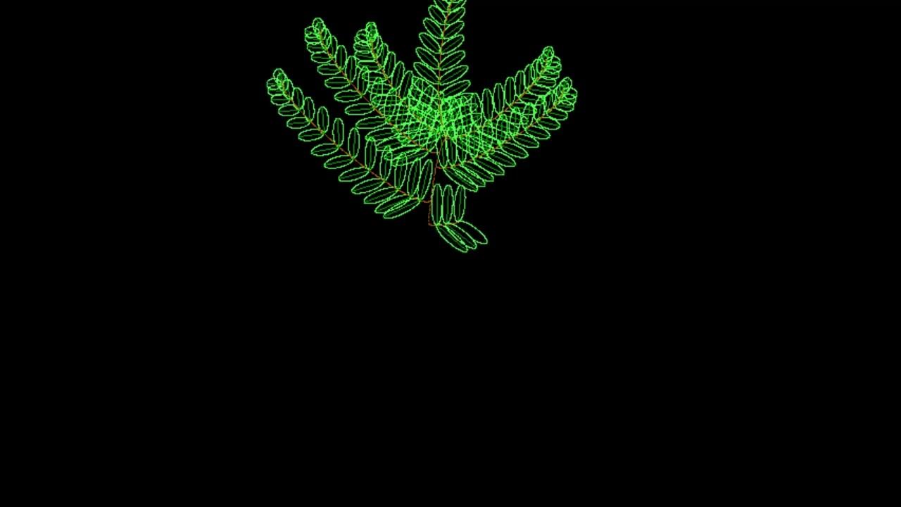 Ellipse And Parabola Leaves Fractal C 3d Cprogramming Cpp Graphics Turboc Turbocpp Maths