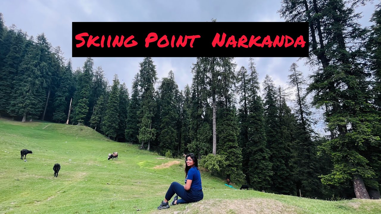 Day 5: Narkanda | Skiing Point | Dream Trip - YouTube