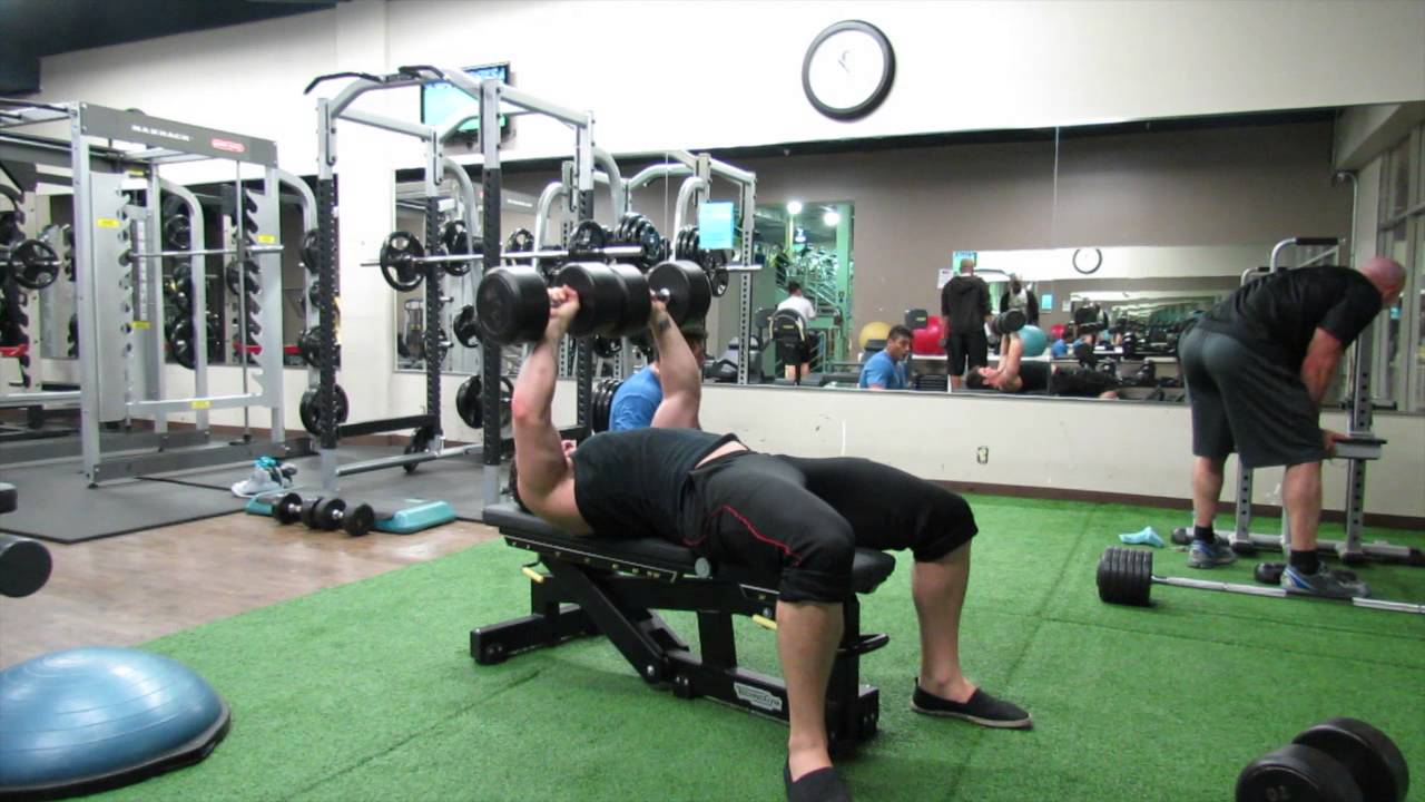 Chest Training / Majestic Chesticles - Leader's Fitness - YouTube