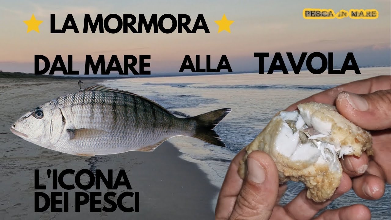 Mormora Fritta - Dal Mare Alla Tavola - YouTube