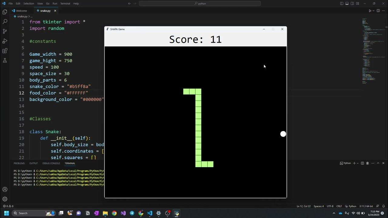 Python Snake Project - YouTube