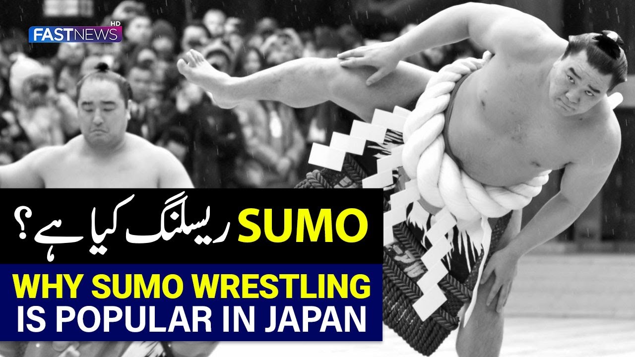 What is Sumo Wrestling? | Why Sumo Wrestling is popular in Japan ...