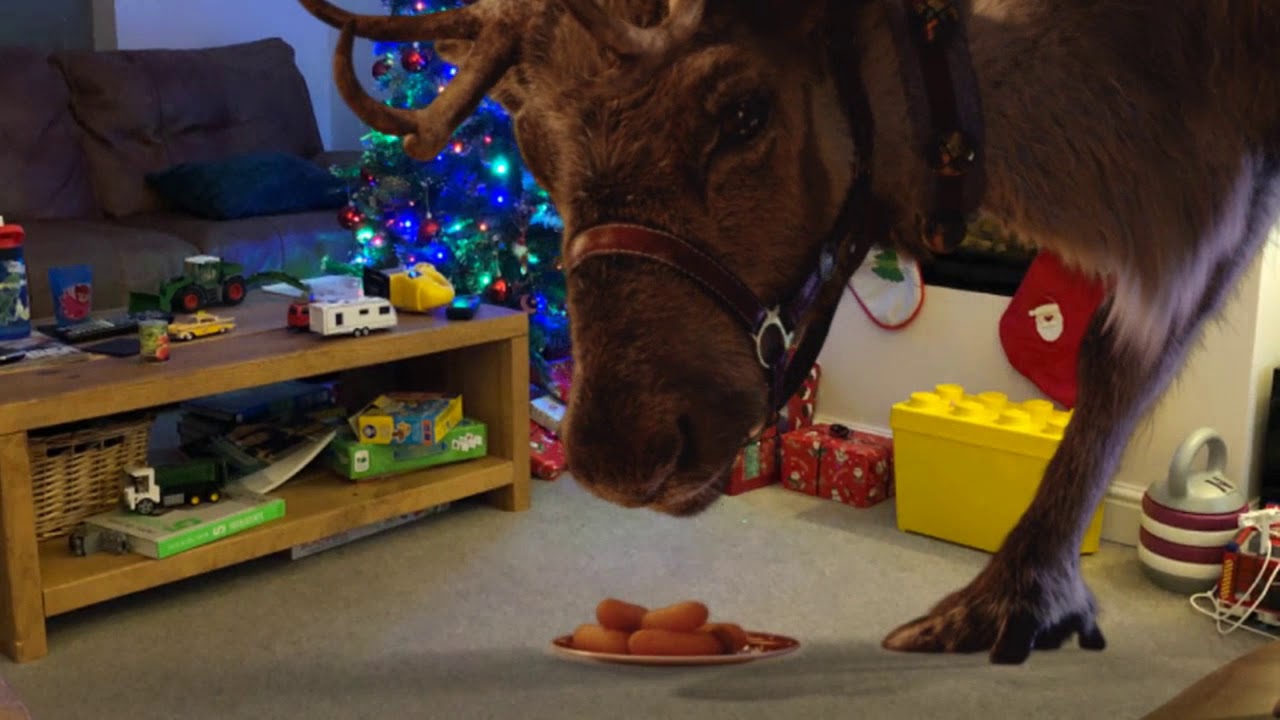 Rudolph 2019 - YouTube