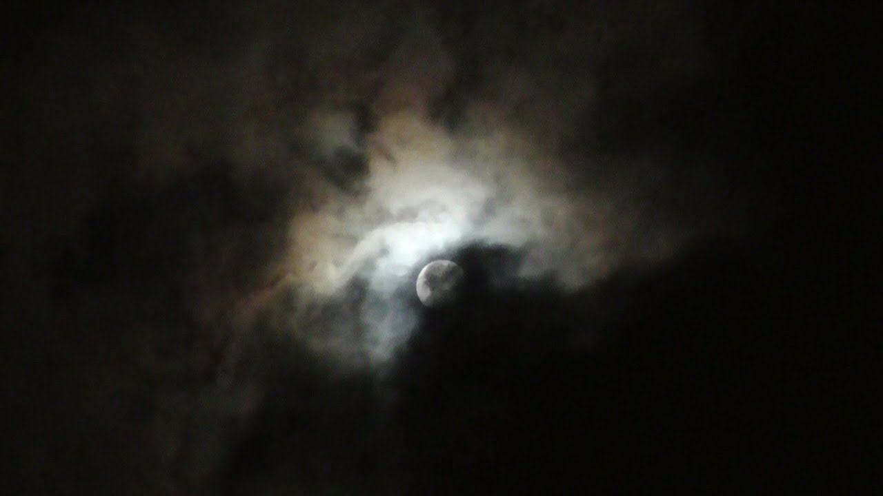 SWFL Eagles_ A Full Moon.. H & M Bonding.. Egrets Courting? E14's ...