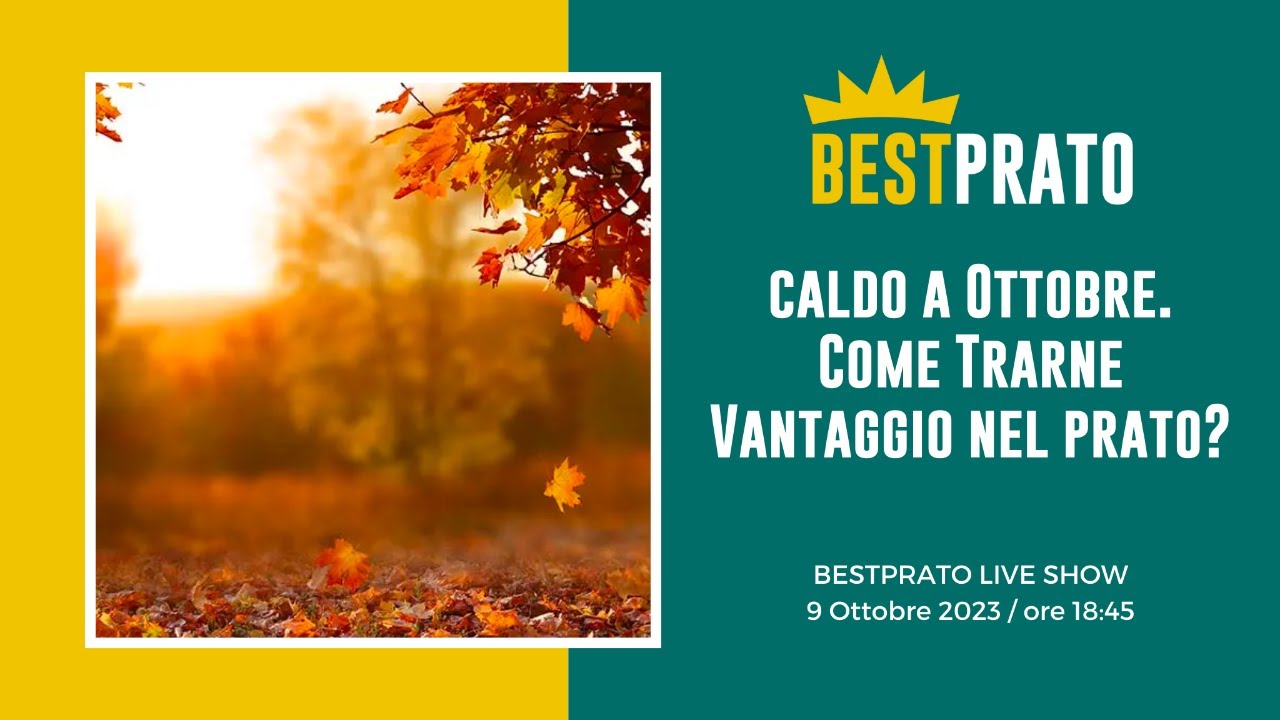 CALDO CHE PERSISTE IN AUTUNNO. COME TRARNE VANTAGGIO NEL PRATO? - YouTube