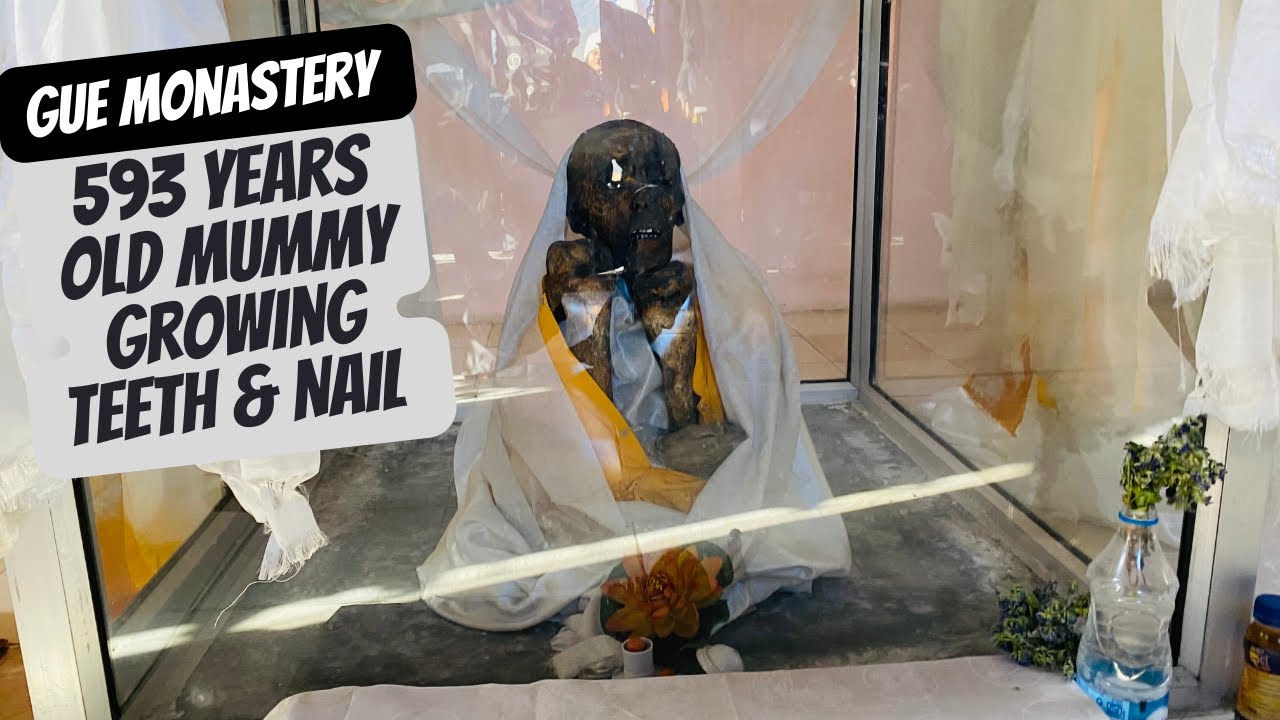 593 Years Old Mummy with Growing Teeth and Nail Gue Village Spiti ...