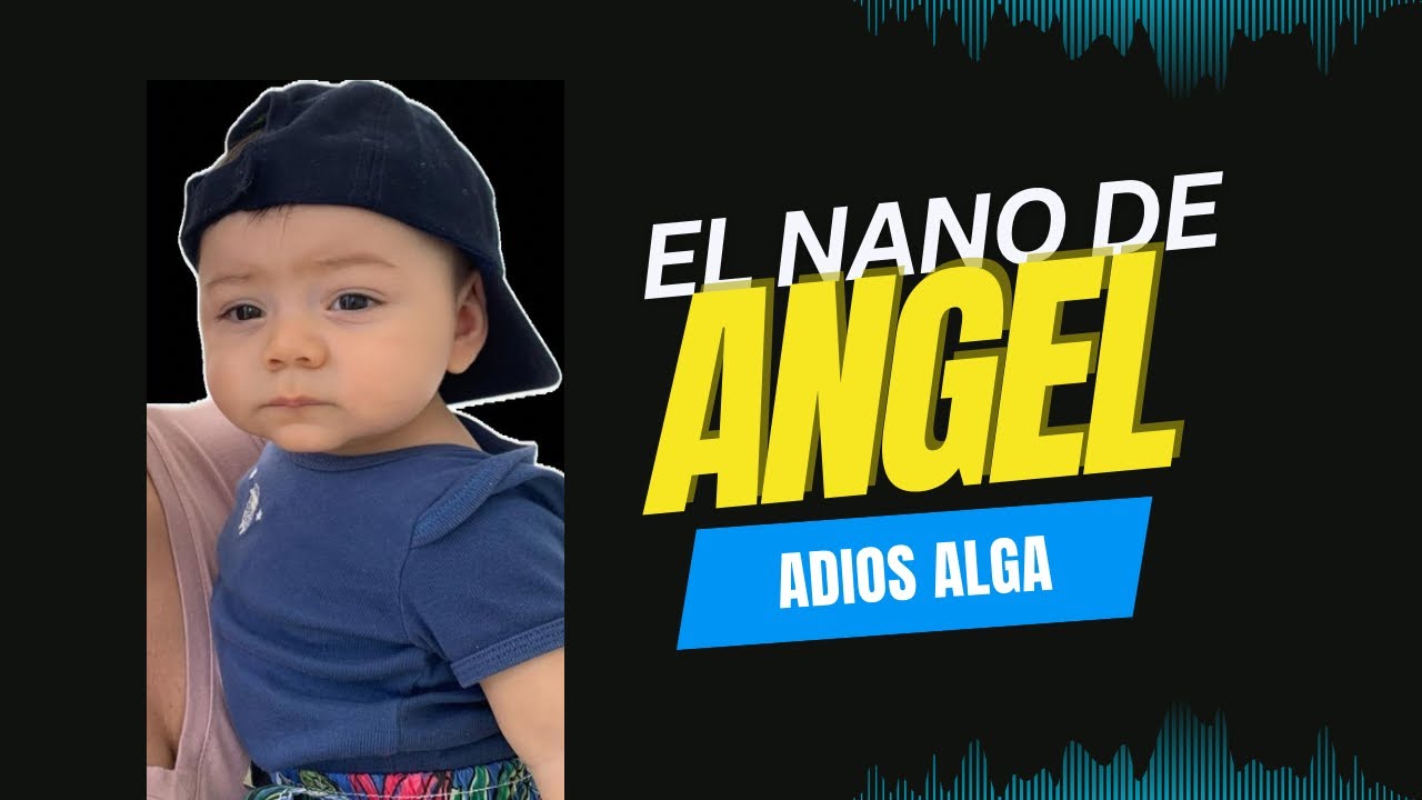 😇 Eliminemos el alga en el nano de Ángel 👏🏼 Ep 2 - YouTube