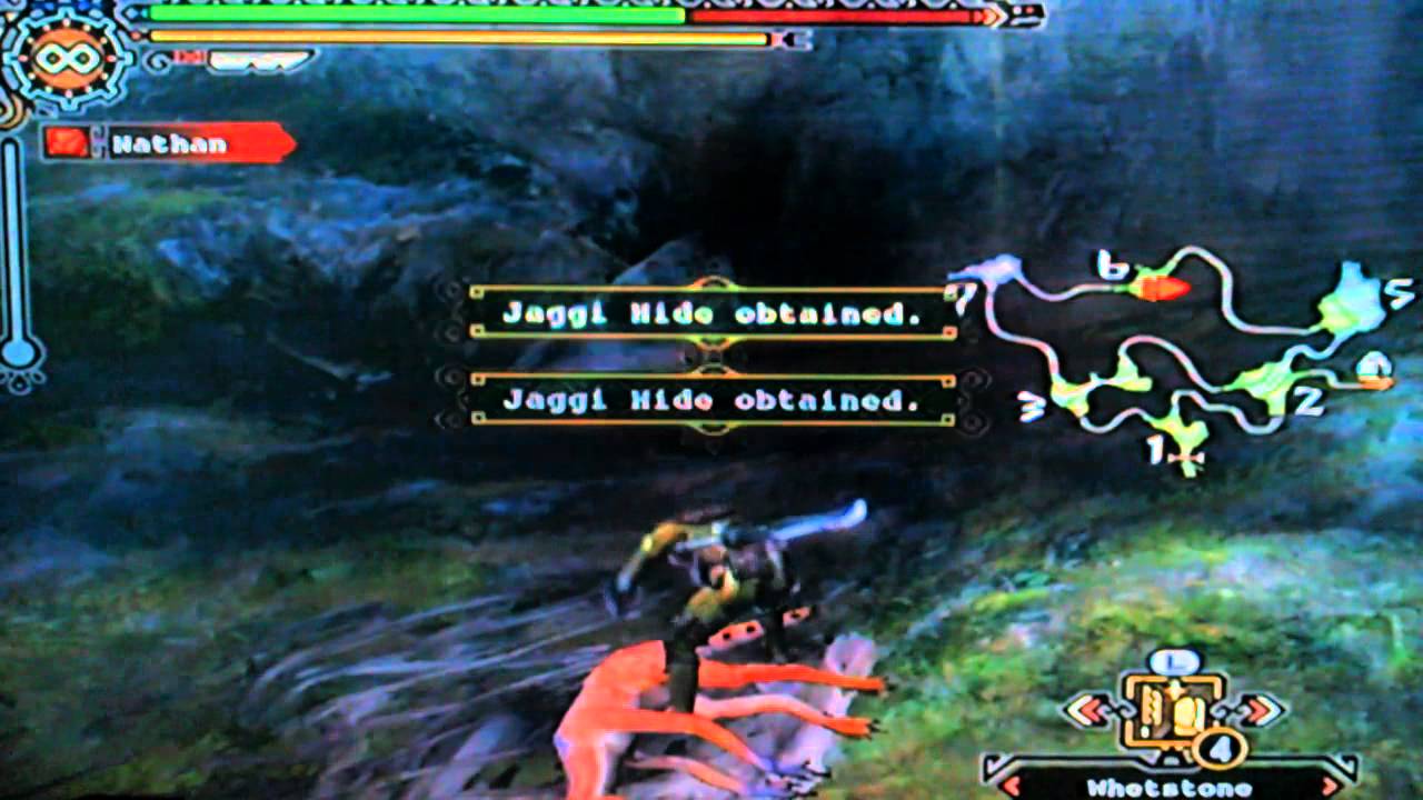 Lets Play Monster Hunter Tri! Part 5! Cracking Down On Carnivores ...