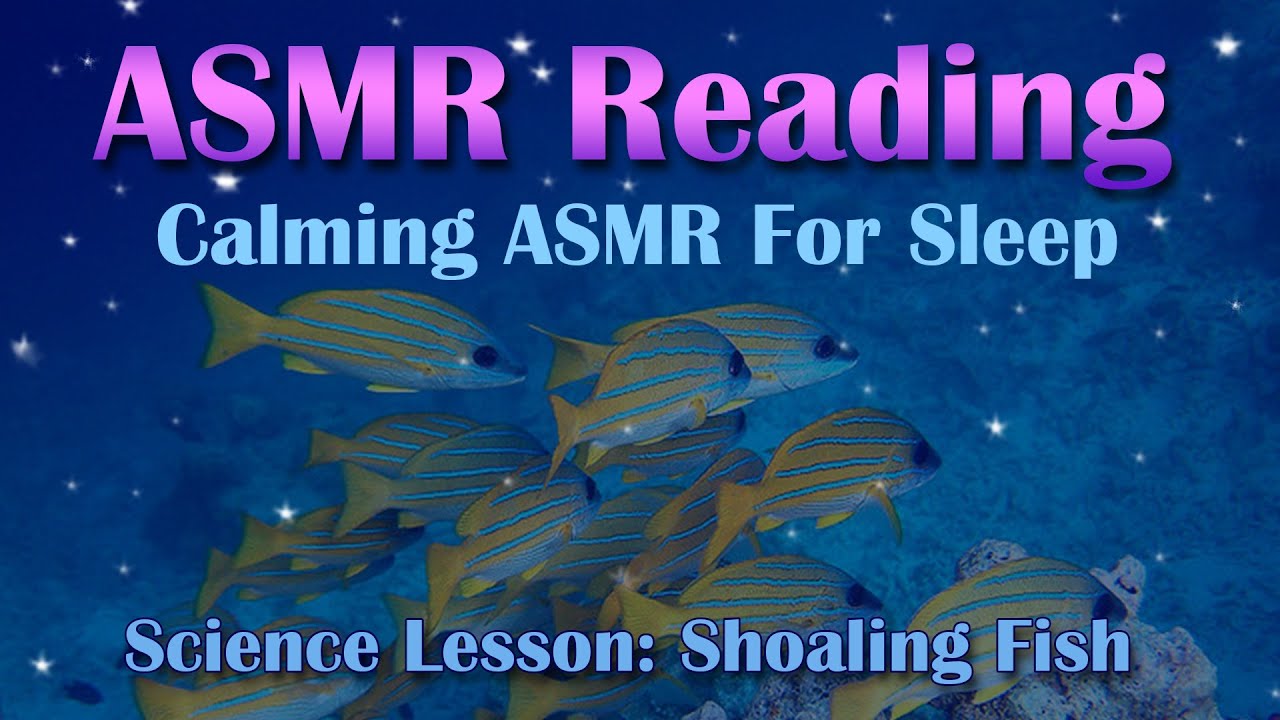 ASMR for Sleep | Gentle Soft Voice Reading | ASMR Science Lesson | Soft ...