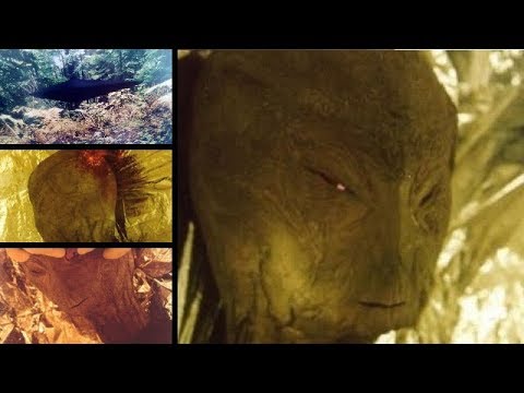 UFO/Alien Story Dr. Jonathan Reed - YouTube