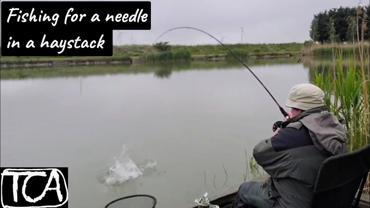 Fishing for a needle in a haystack Stillwater Barbel VID 032 - YouTube