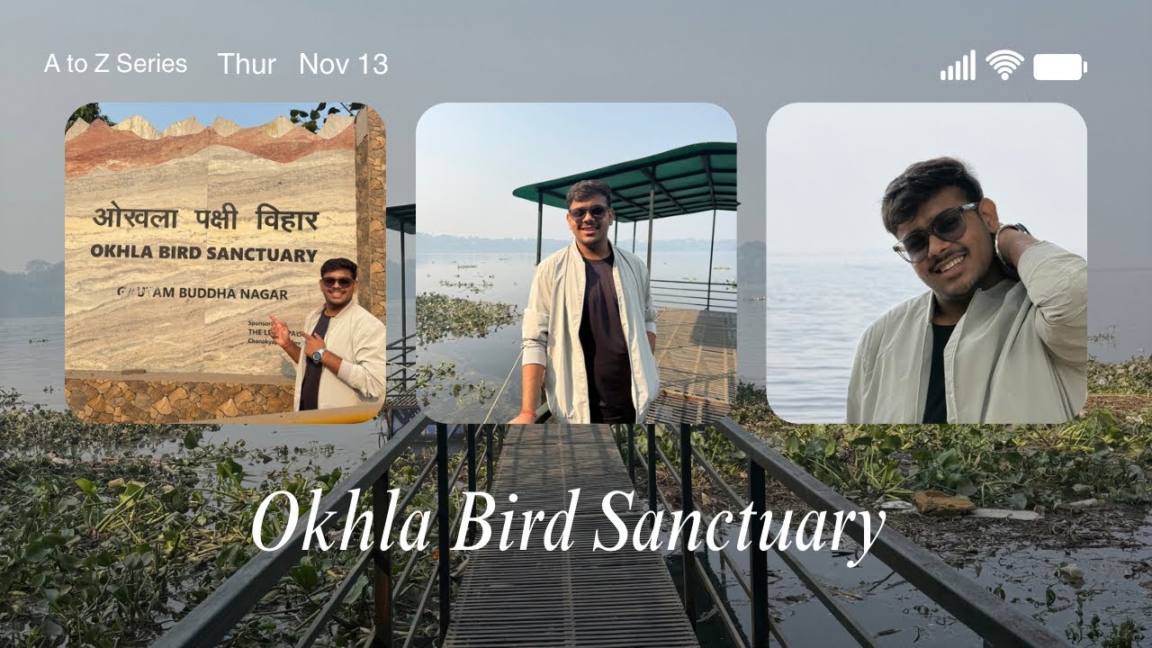 🦜 Exploring Okhla Bird Sanctuary | A to Z Series – “O” for Okhla 🏞️ ...