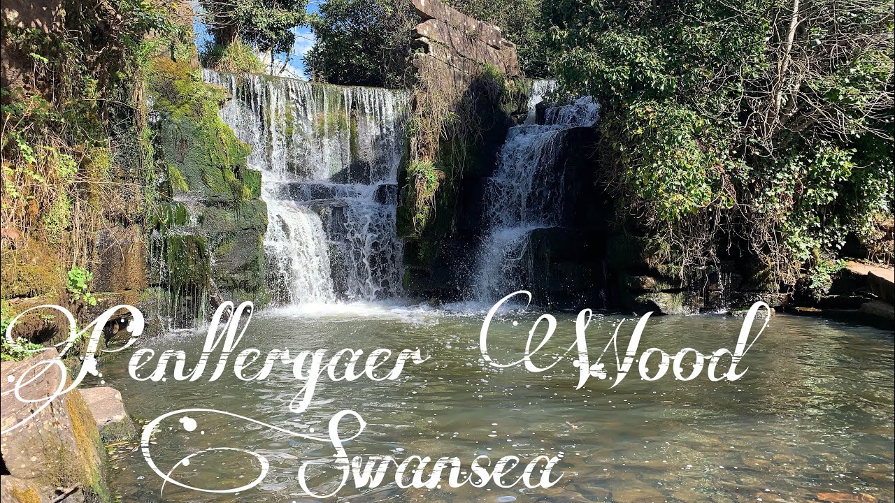 Beautiful scenery Penllergaer Wood in Swansea- walking with friend ...