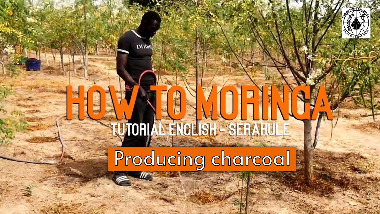 How to Moringa #3 Producing Charcoal (English/Serahule) - YouTube