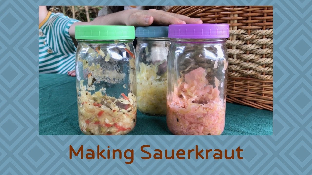 Sauerkraut | Fermentation | Homemade Sauerkraut | Cooking | Kids - YouTube