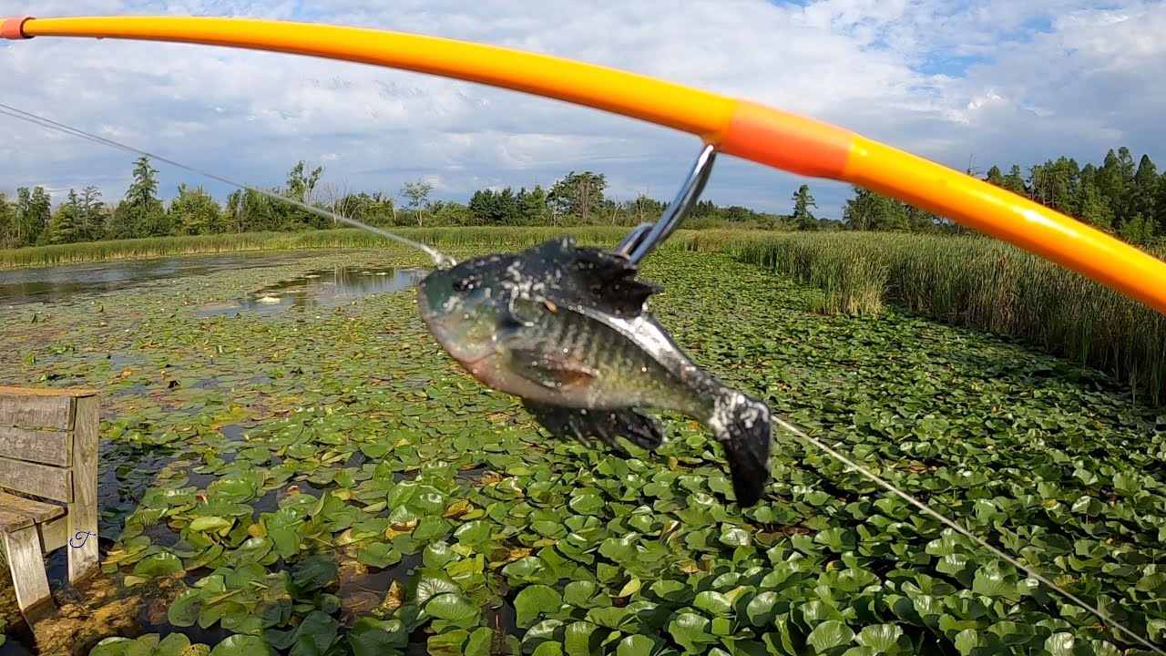 The 10,000 Fish Headhunter caught ? fish - YouTube