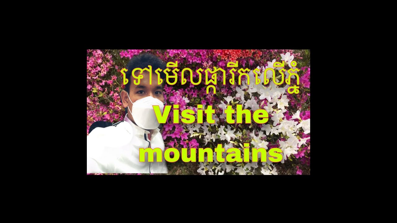 Vlog 2 ទៅមើលផ្ការីកលើភ្នំ |visit flower 🌸 on the mountain 🏔\samnang ...