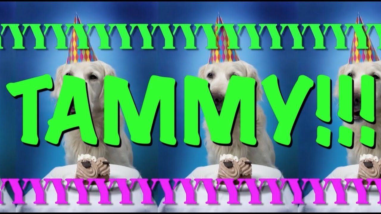 Happy Birthday Tammy Memes