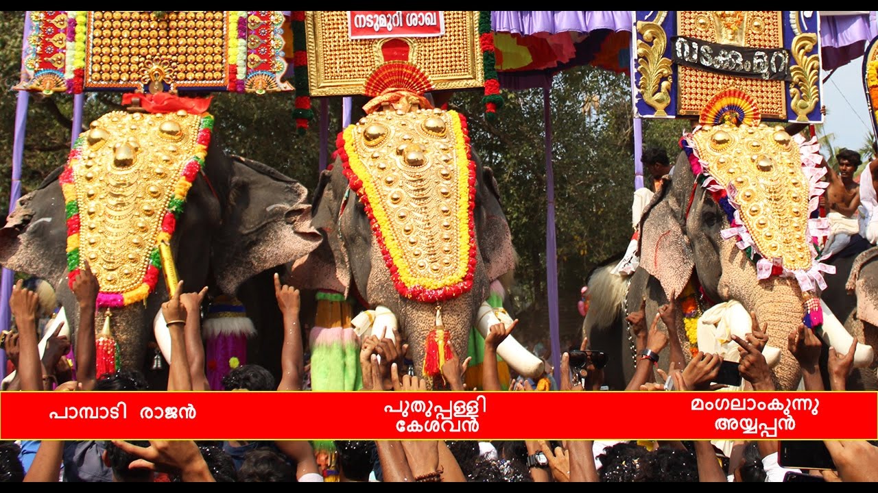 മംഗലാംകുന്നു അയ്യപ്പൻ, പുതുപ്പള്ളി കേശവൻ, പാമ്പാടി രാജൻ - തകർപ്പ ...