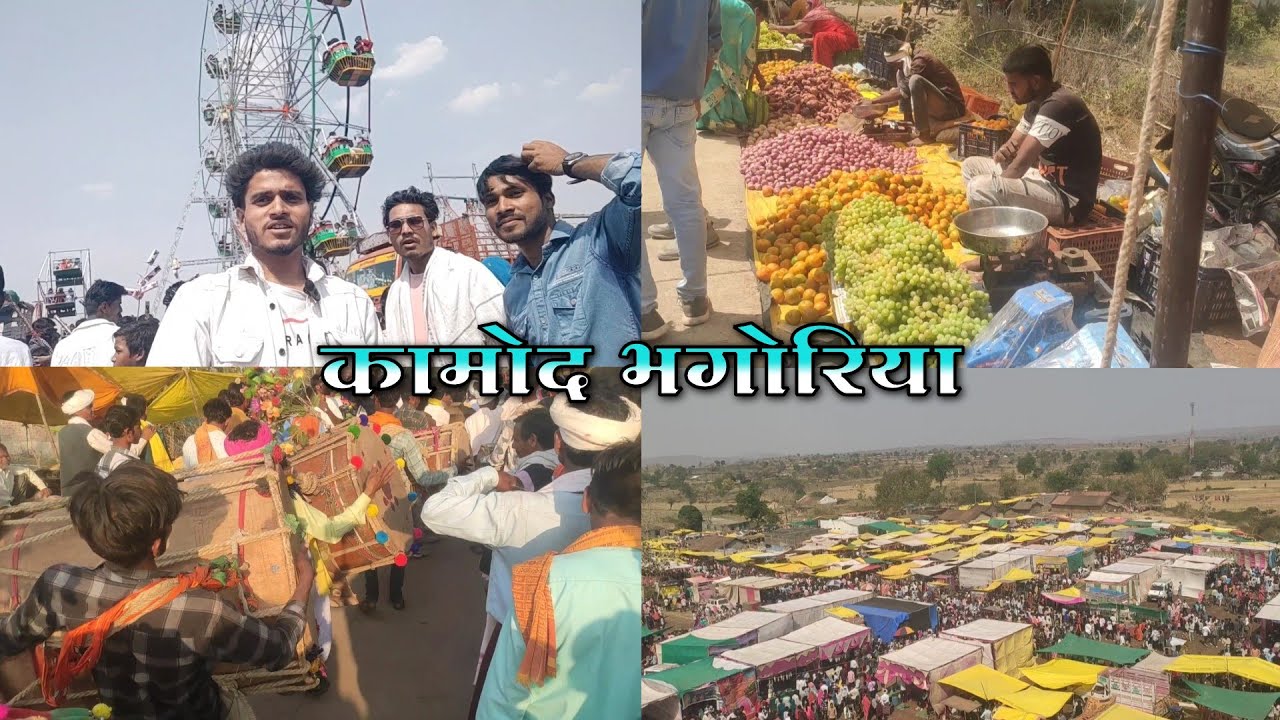 कमोद भगोरिया आदिवासी वीडियो 2024।। kamod bhagoriya 2024। कमोद भगोरिया # ...