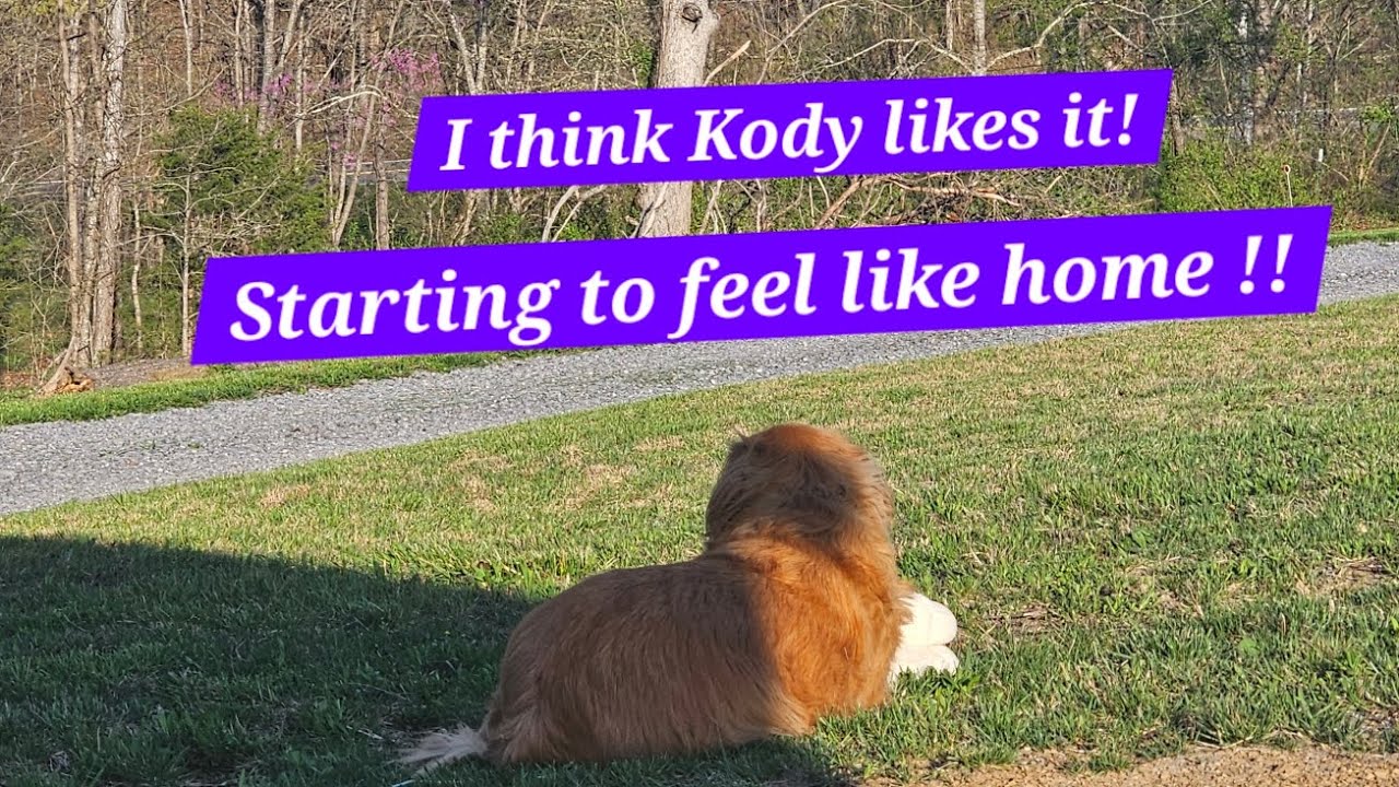 Happy to be home! 💙 - YouTube