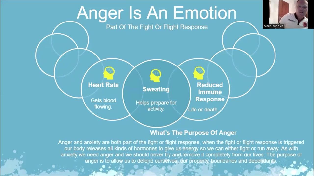 What's The Purpose Of Anger | Anger Is An Emotion & All Emotions Serve ...