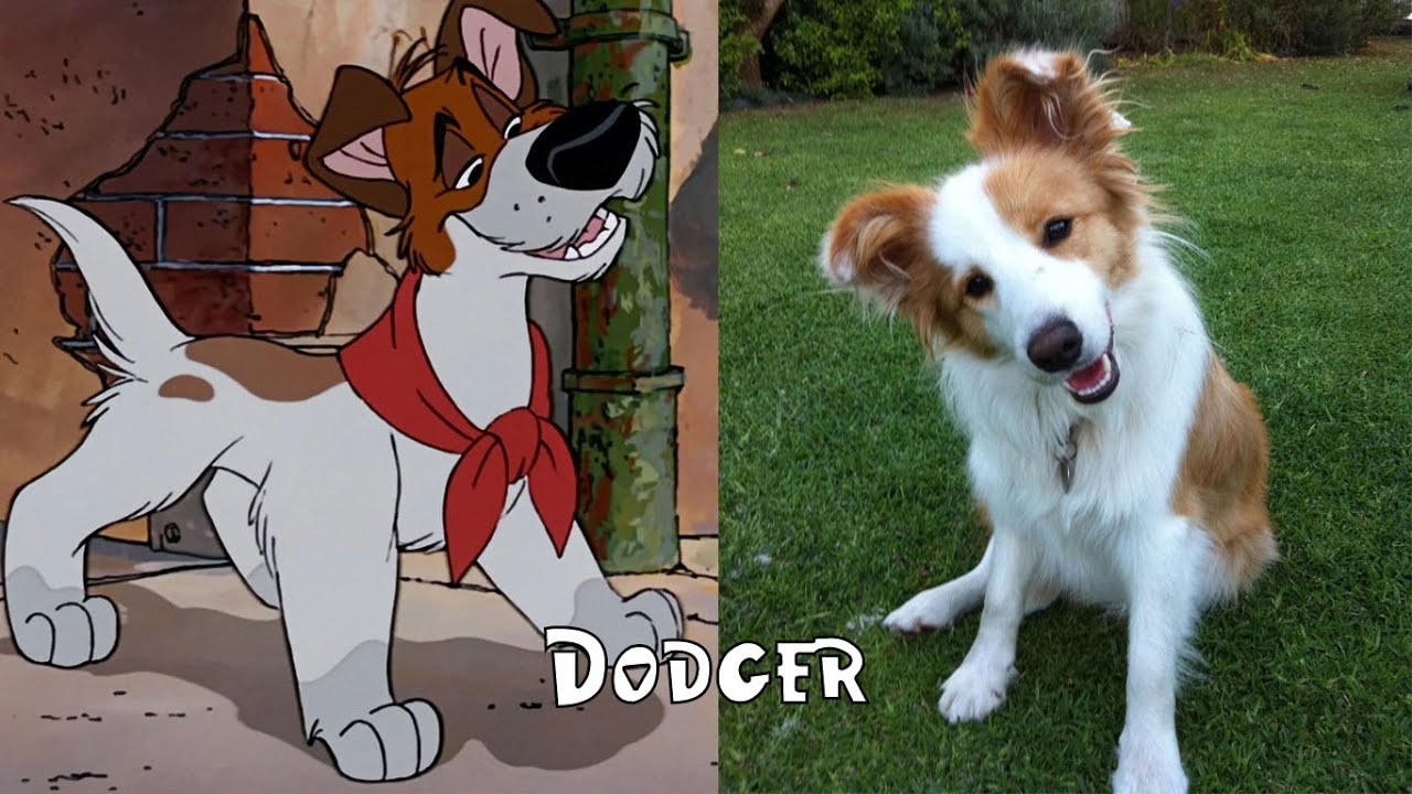 Oliver & Company Characters in Real Life - YouTube