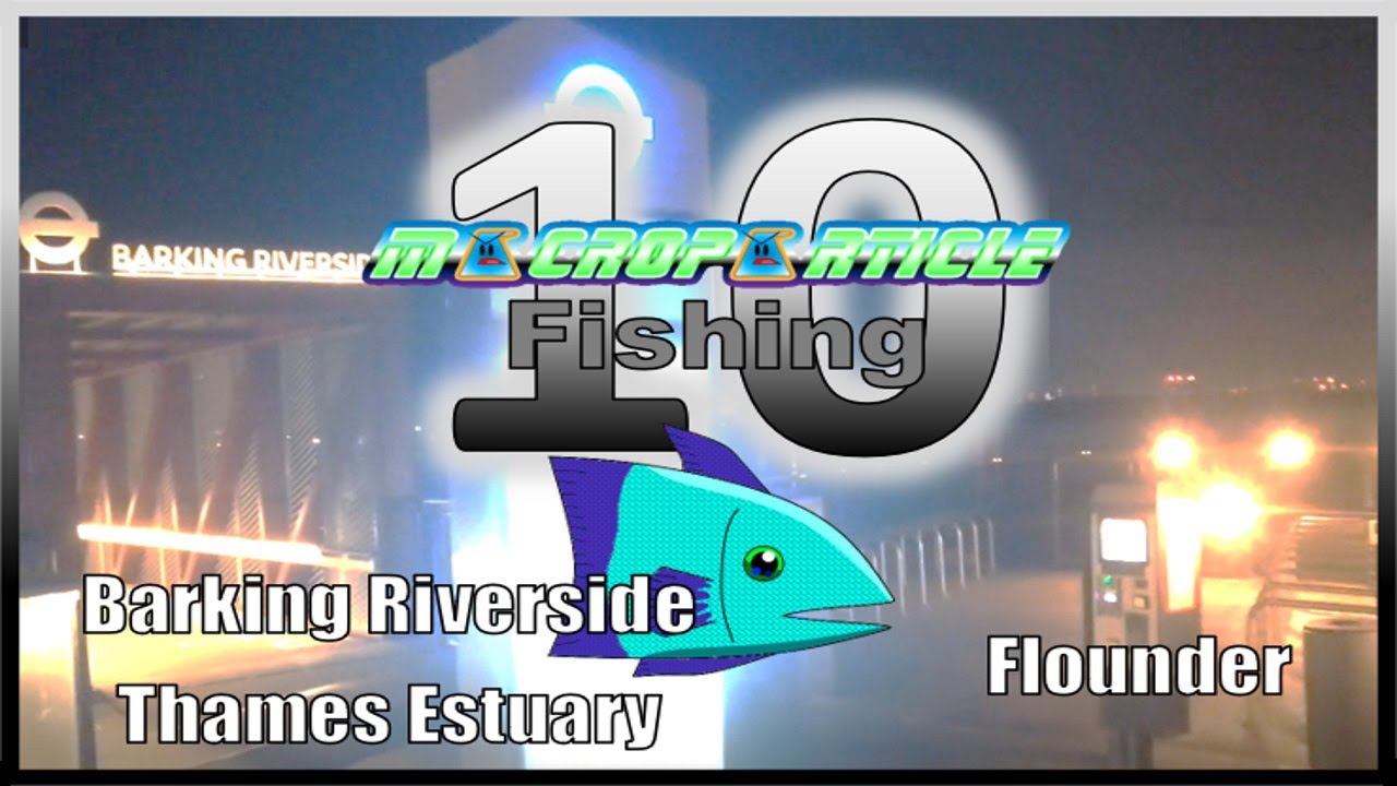 MACROPARTICLE Fishing 10 - Barking Riverside, Thames Estuary: Flounder ...
