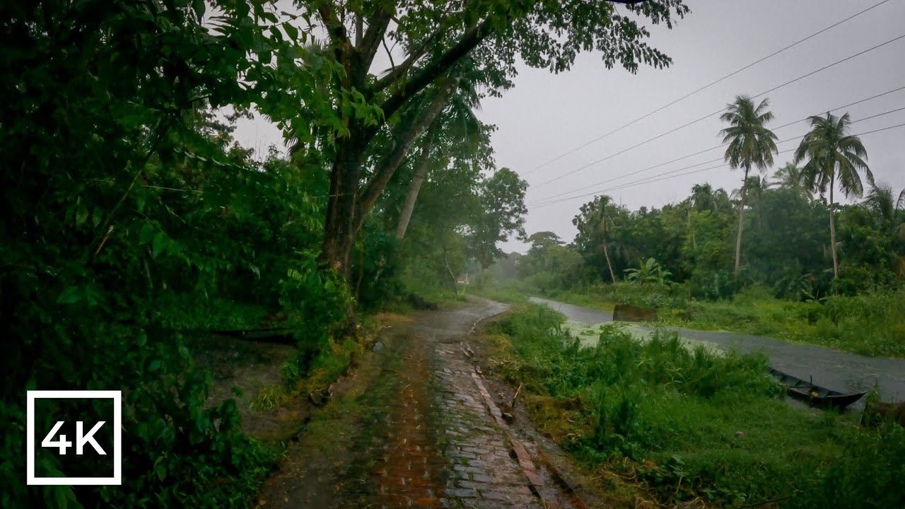Relaxing walk in the rain with thunderstorm, walking in the rain ...