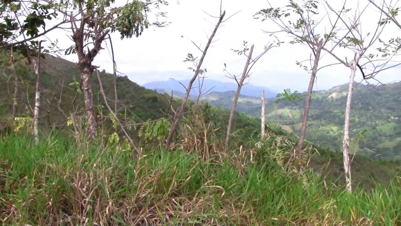 Paisaje de Yamasa, Republica Dominicana - YouTube