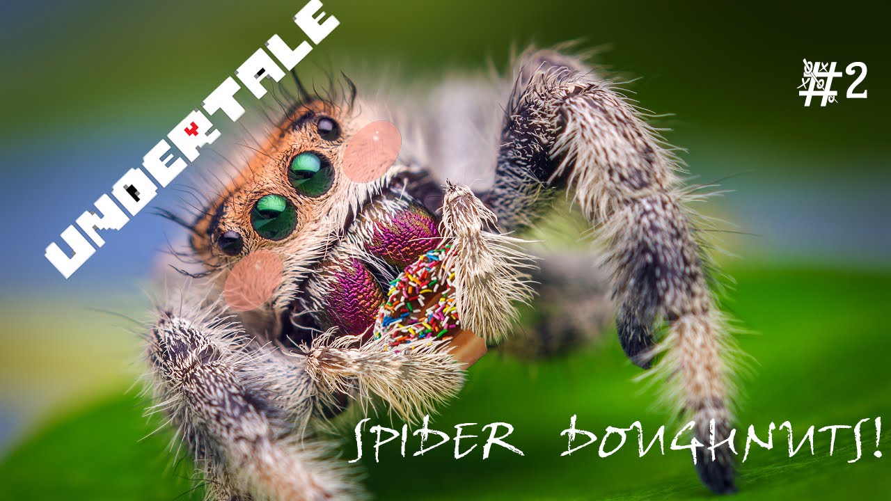 SPIDER DOUGHNUTS - Undertale PT 2 - YouTube