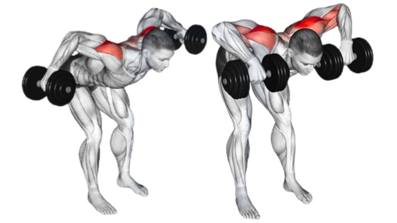 Best Superset Dumbbell Workout for Wider Back - YouTube