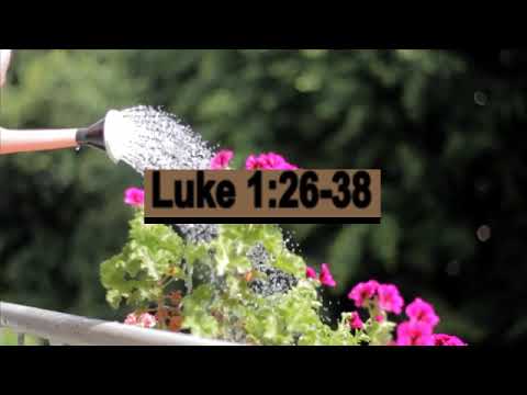 December 12, 2020 - Daily Mass Readings (Luke 1:26-38)