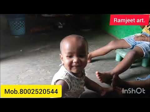 Animal pient school work... - YouTube