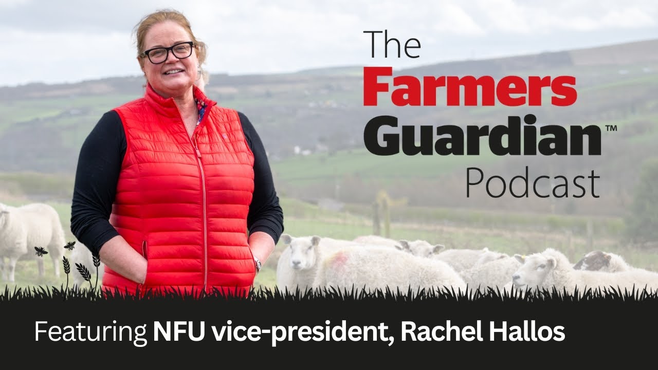 NFU's new vice-president Rachel Hallos says 'trust and honesty' is her ...