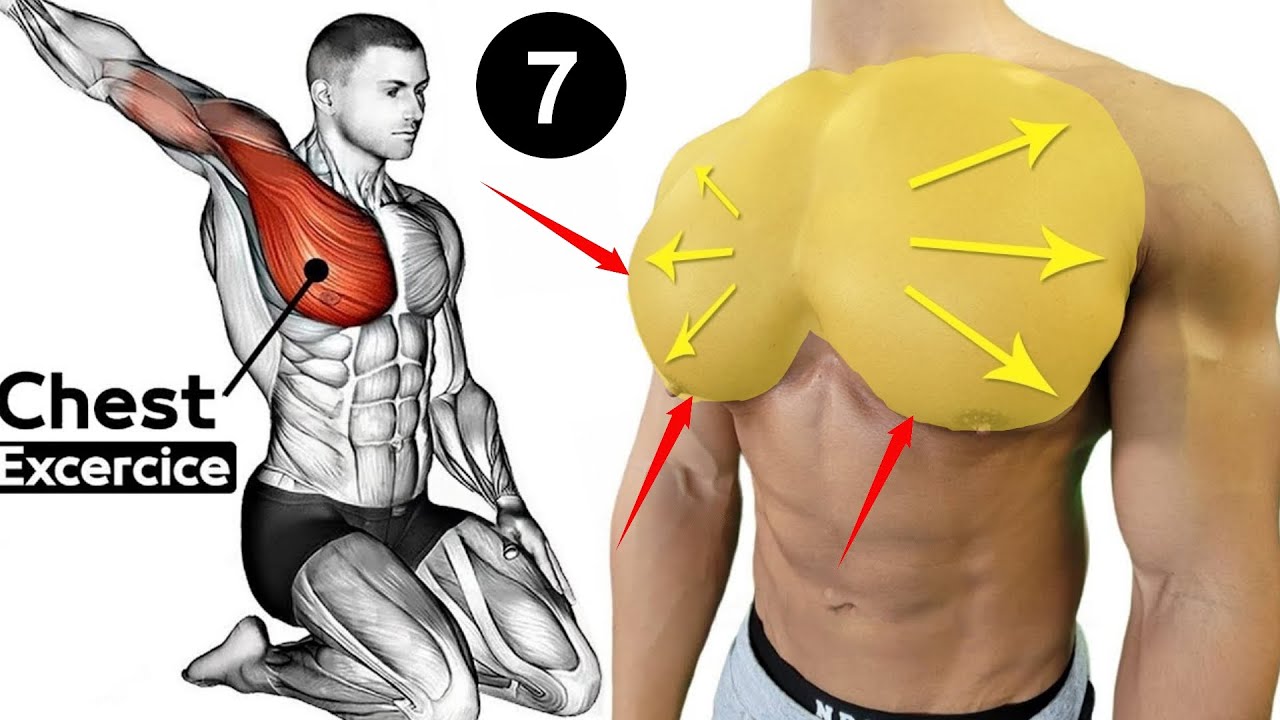 Best Chest Workout At Gym For Beginners(Fastest) - YouTube