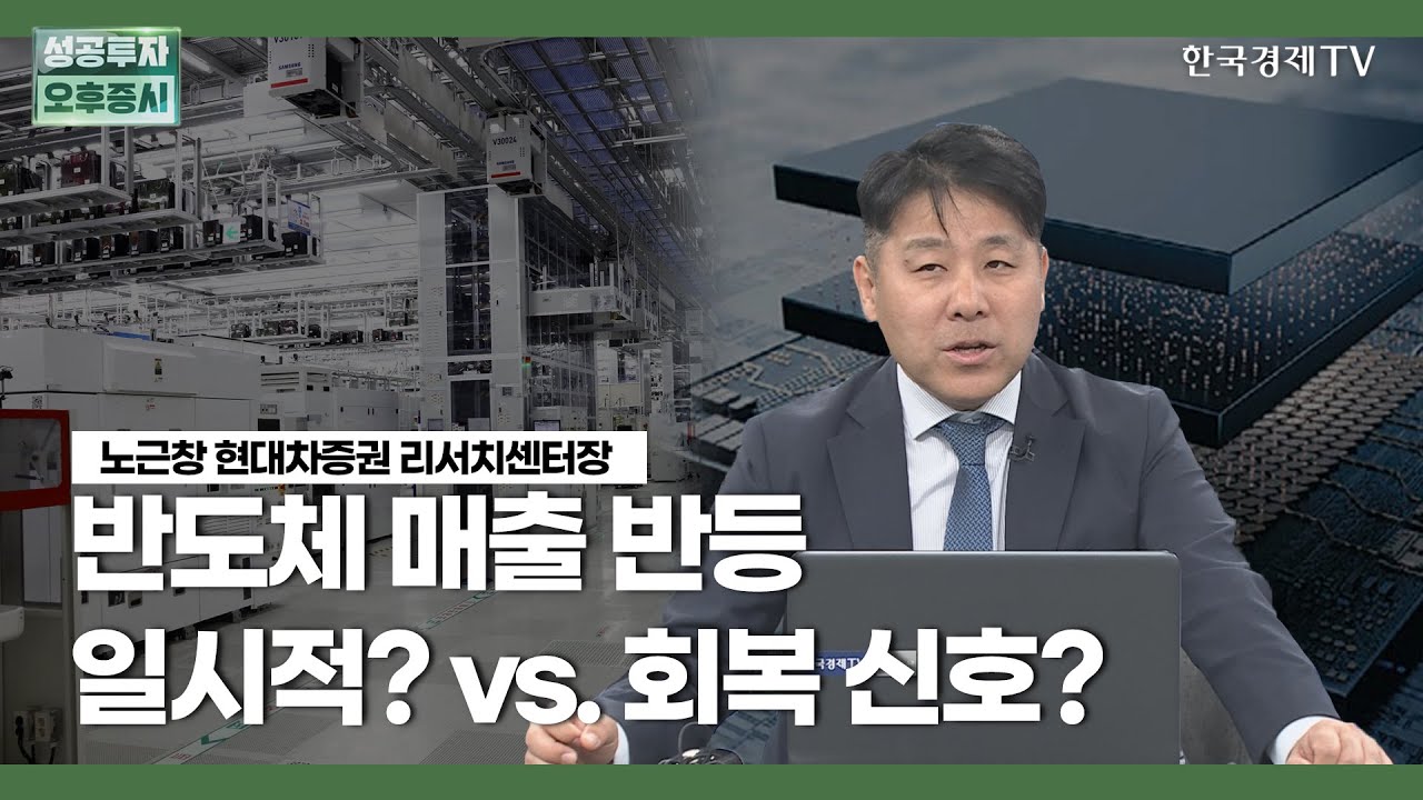 반도체 매출 반등 일시적 Vs 회복 신호 노근창 현대차증권 리서치센터장 애널리스트뷰 성공투자 오후증시 한국