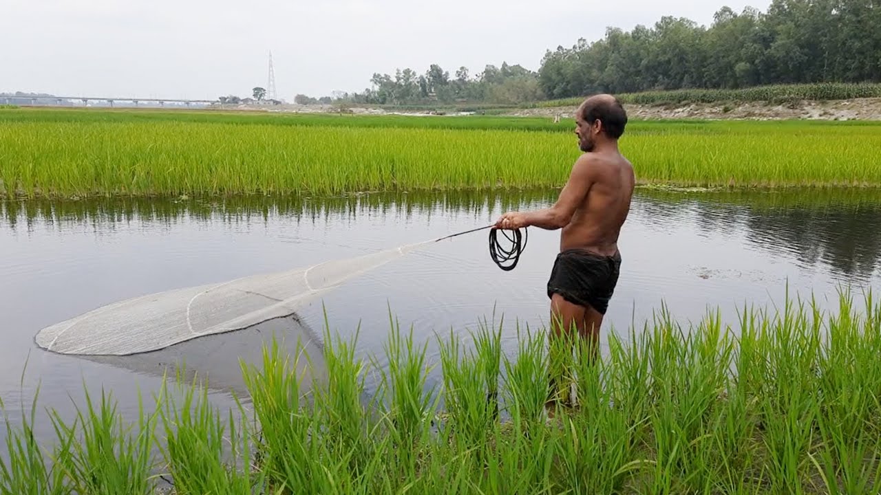 Amazing Fishing Video | Unique Fishing Video | Awesome Fish catching ...