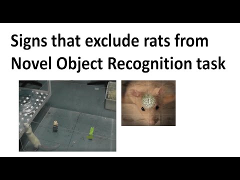 The signs that exclude rats from Novel object recognition (NOR) memory ...
