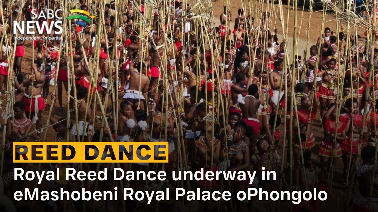 Reed Dance | Royal Reed Dance underway in eMashobeni Royal Palace ...