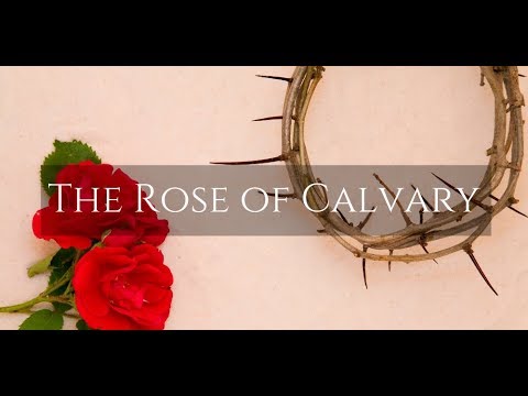 Maundy Thursday - Rose of Calvary - YouTube