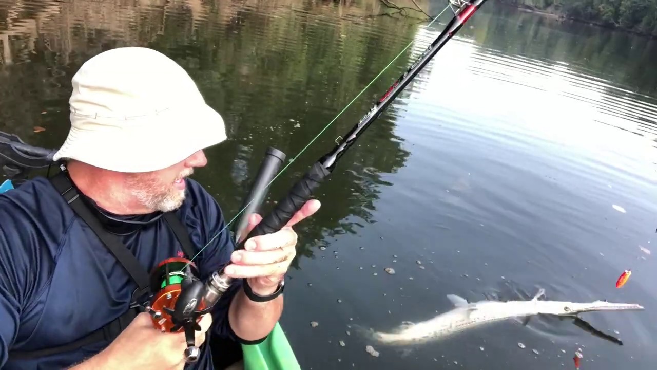 Catawba River Catfish and a Crazy Gar! - YouTube