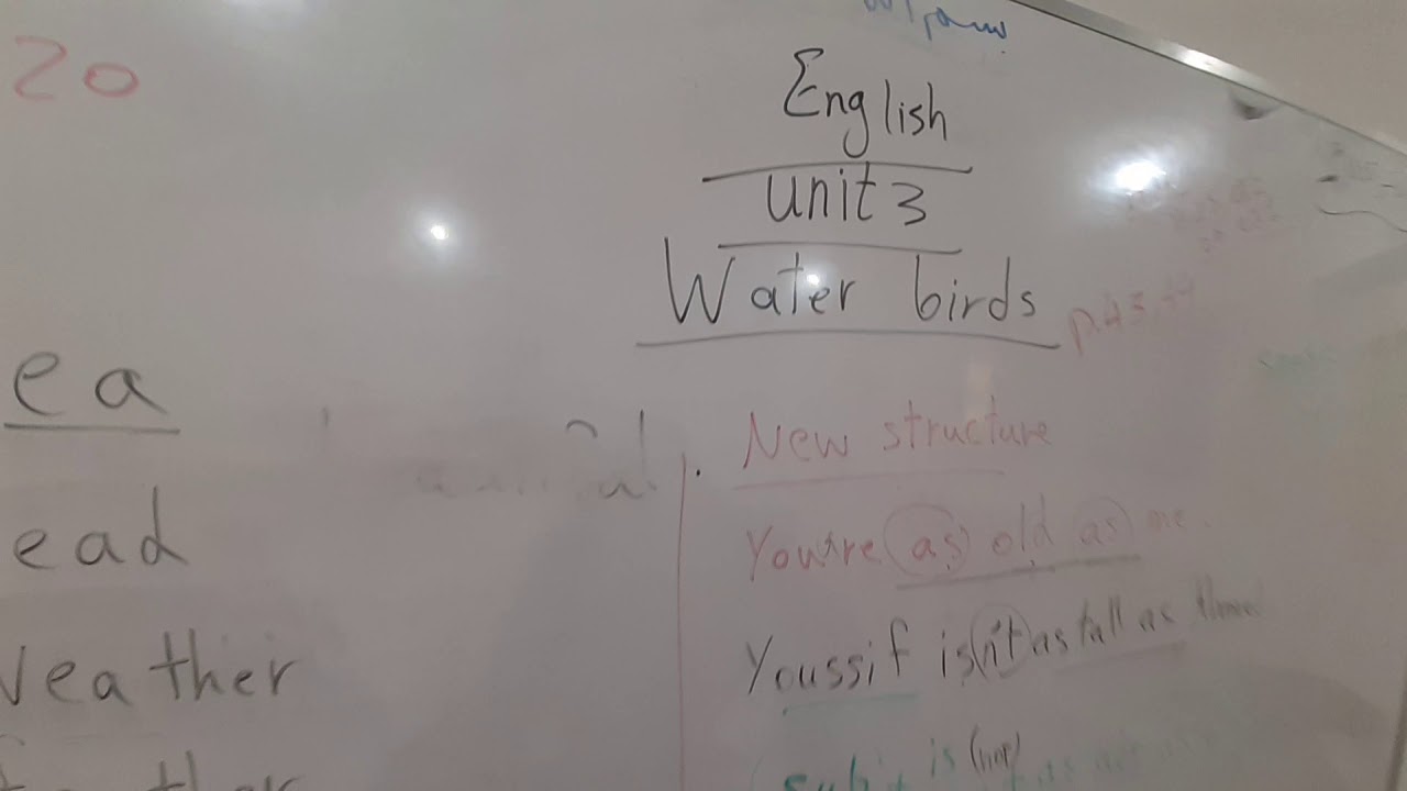 unit 3 ,English world 4,lesson 3,4 Mr. Ahmed Gad - YouTube