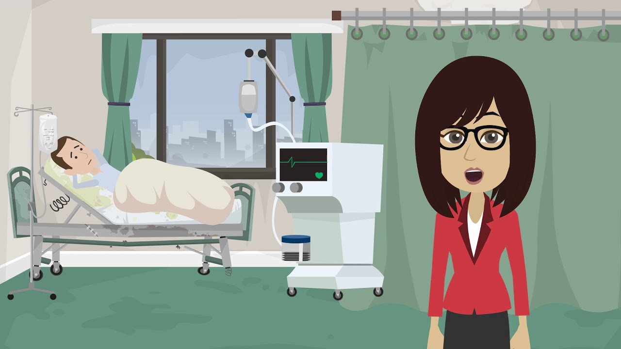 Animated Team Brief - February 2020 - YouTube