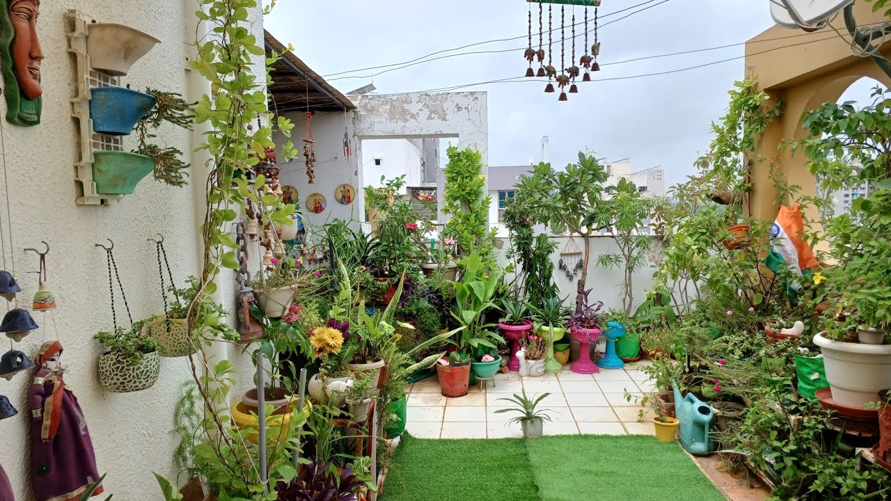 Overview of my Terrace Garden - YouTube