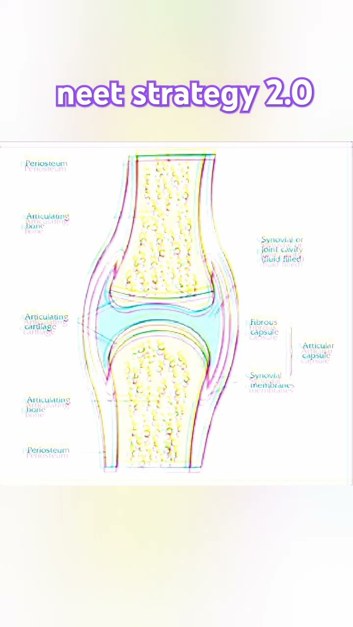 Bones attachment with joints shorts#bone articulate with joints#two ...