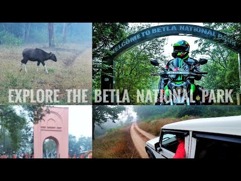 Explore The Betla National Park || All Details of Jeep Safari - YouTube