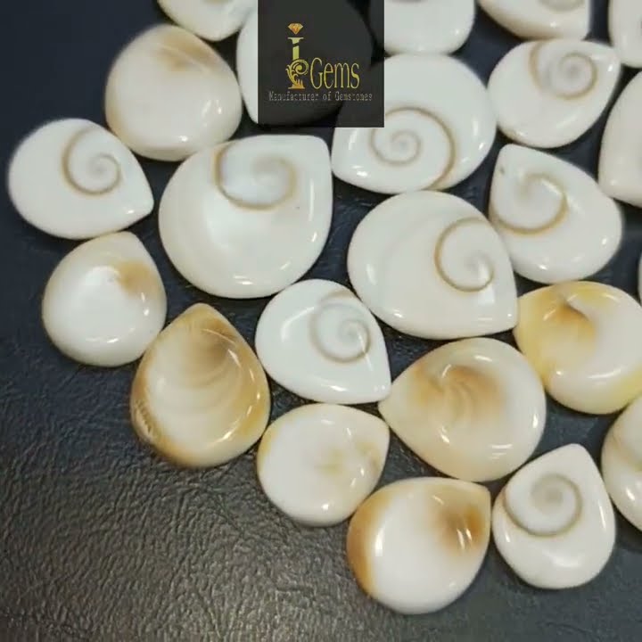 Natural Shiva Eye Shell Cabochon Gemstone, Loose Gemstone lot - YouTube